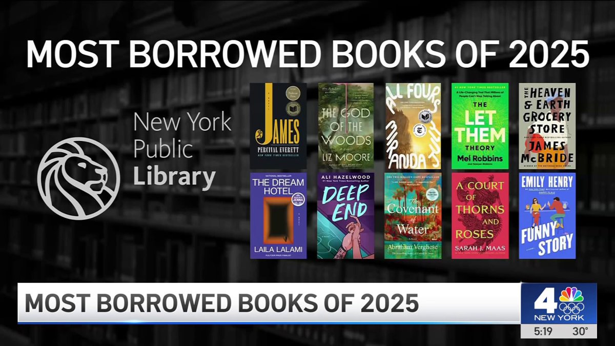 NY Public Library shares the most borrowed books of 2025: See the list ...