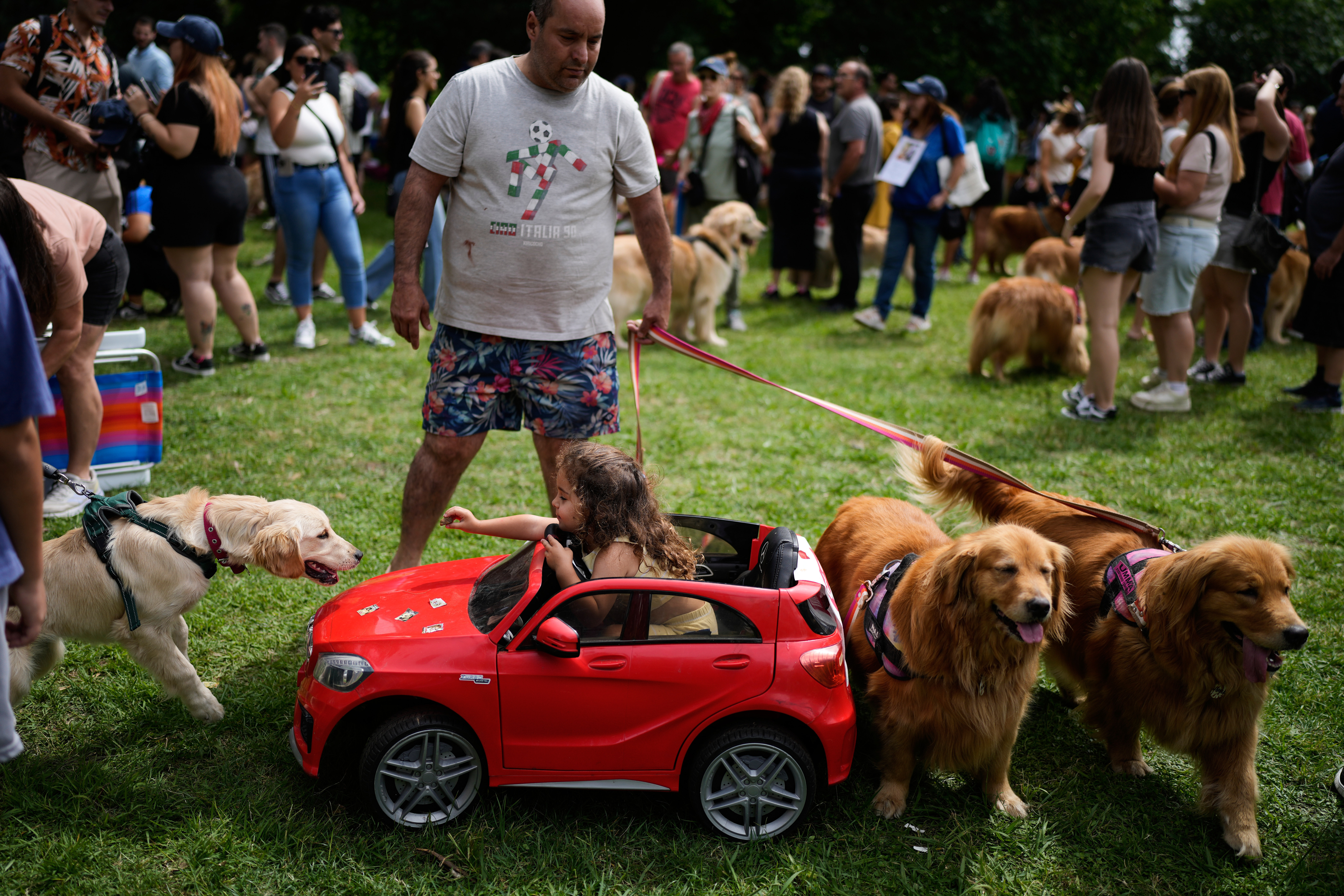 Record-breaking golden retriever gathering held in Argentina – NBC New York