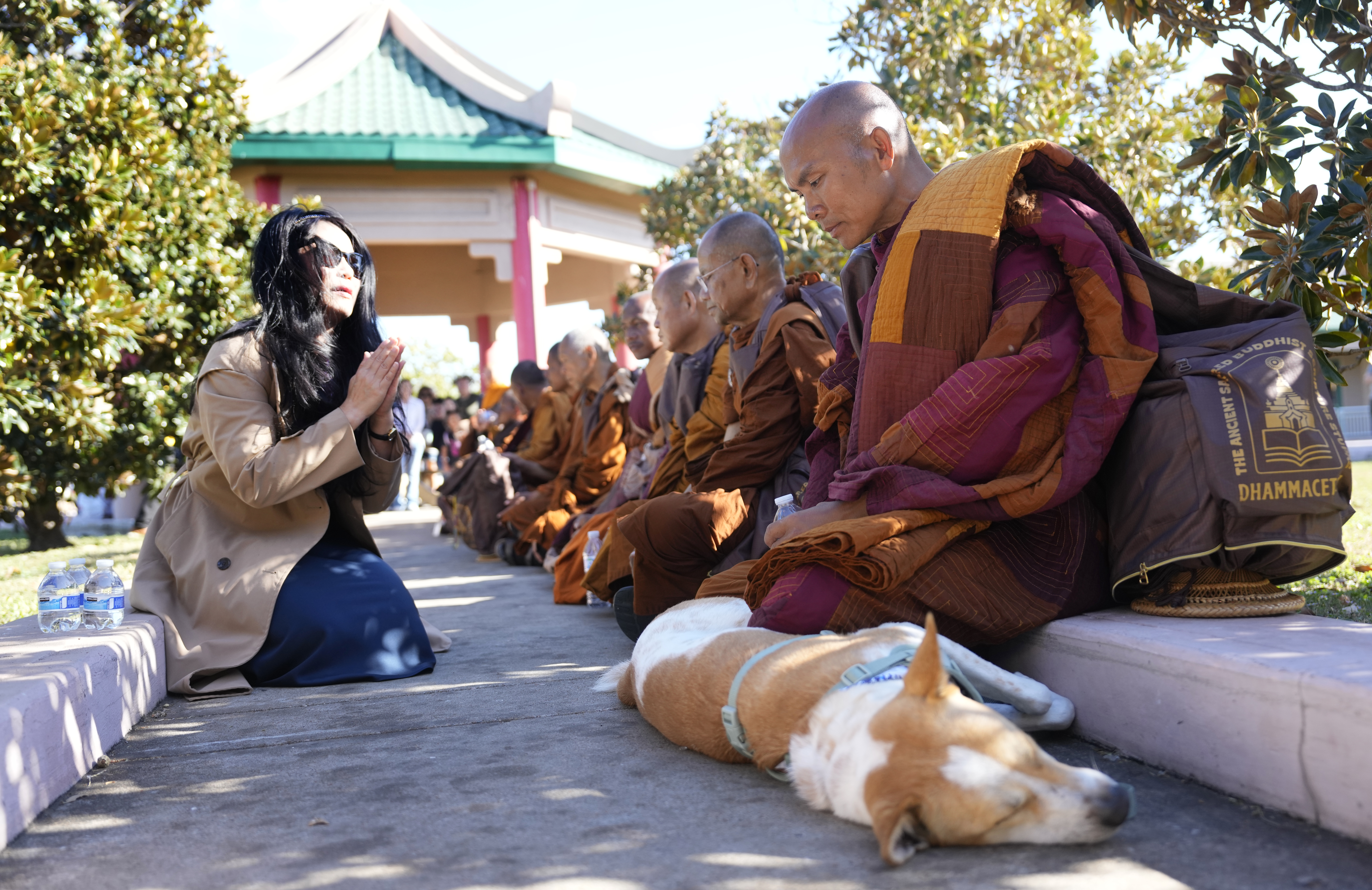 Buddhist monks persist in peace walk to Washington D.C. – NBC New York