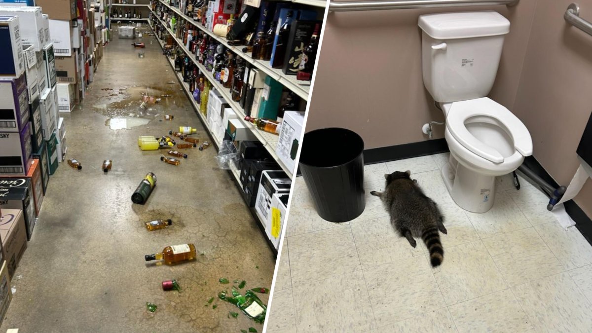 Drunk raccoon found passed out in Virginia liquor store bathroom – NBC ...