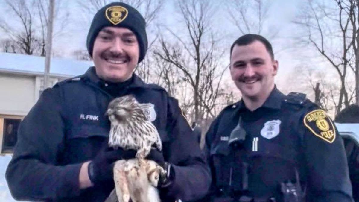 Police rescue hawk from inside New Jersey home – NBC New York