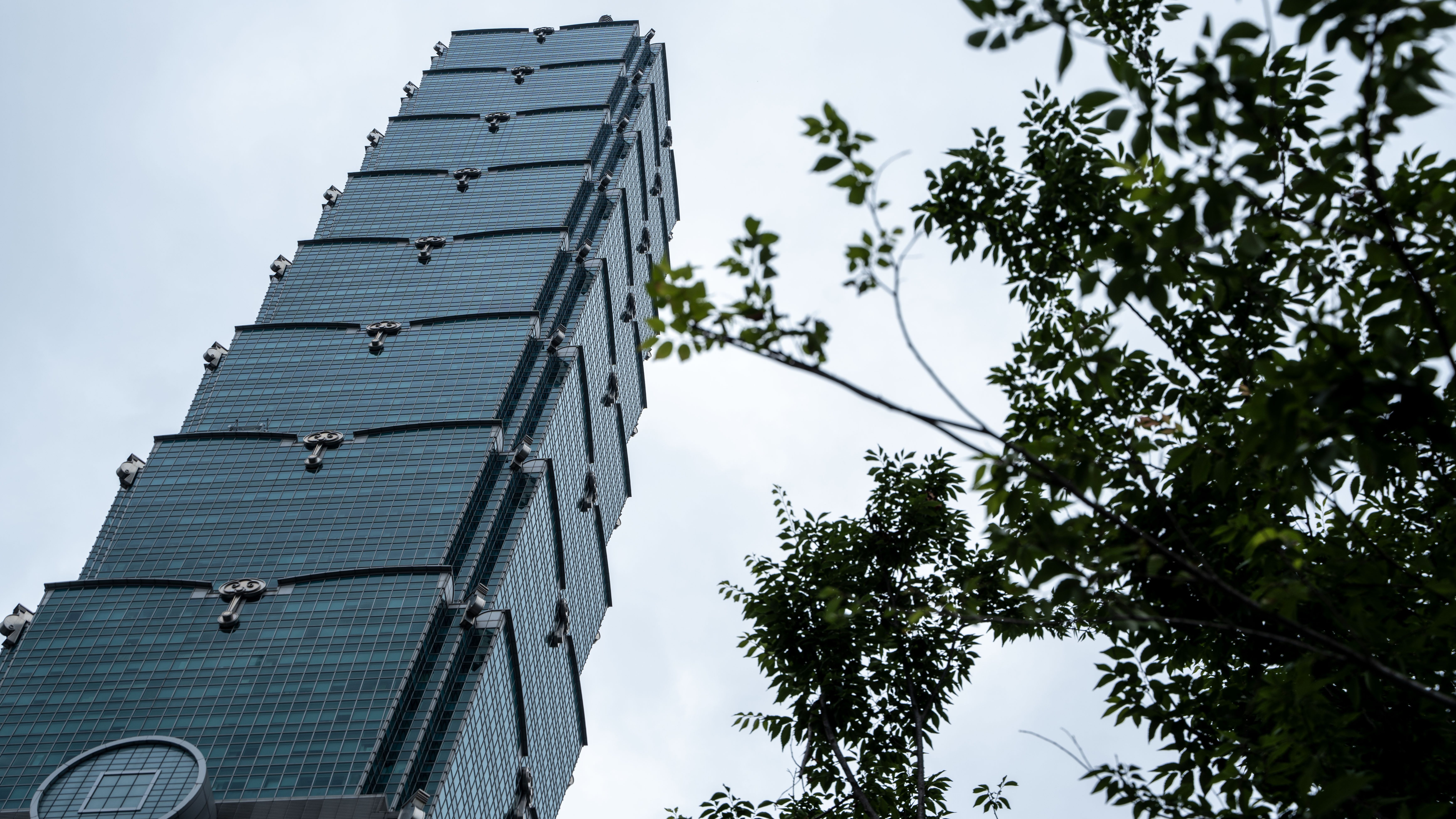 Alex Honnold to climb Taipei 101 with no ropes, live on TV – NBC New York
