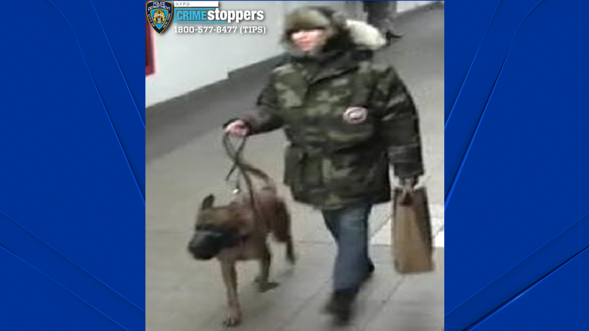 Union Square subway dog attack – NBC New York