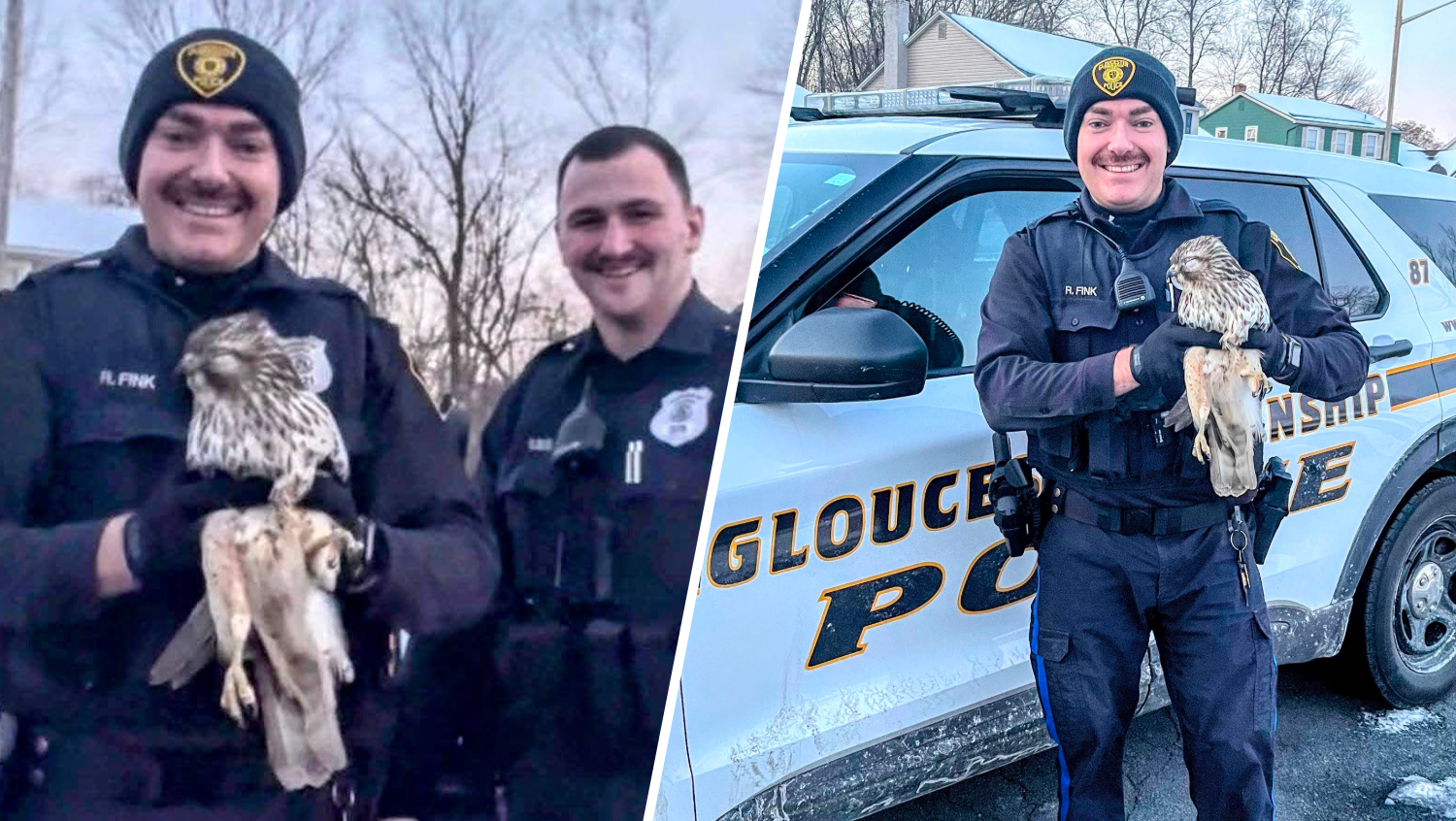 Police rescue hawk from inside New Jersey home – NBC New York
