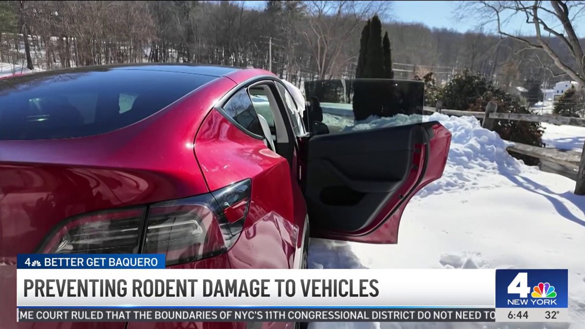 Preventing rodent damage to vehicles during cold-weather months – NBC ...