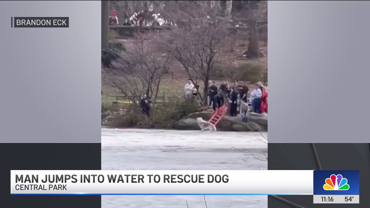 Man jumps into water to rescue dog in Central Park – NBC New York