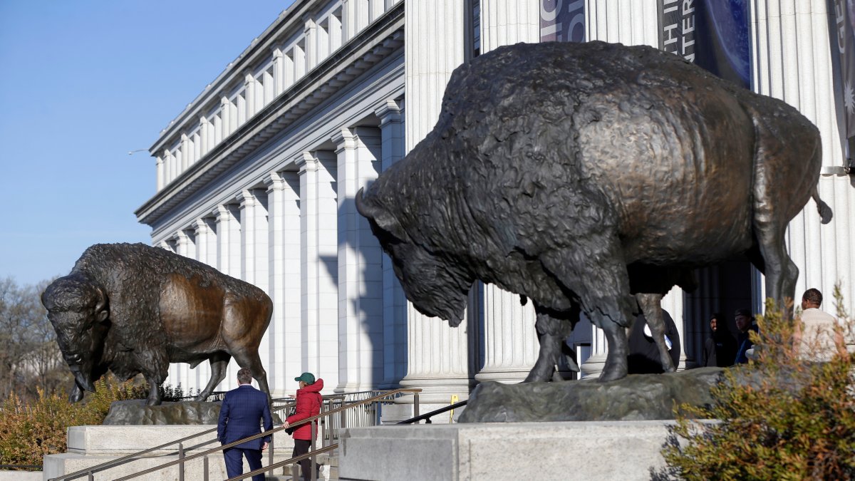 Bison gets bronze tribute for USA’s 250th birthday – NBC New York