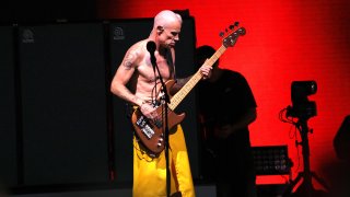 Red Hot Chili Peppers’ bassist, Flea, releases solo Jazz album – NBC ...