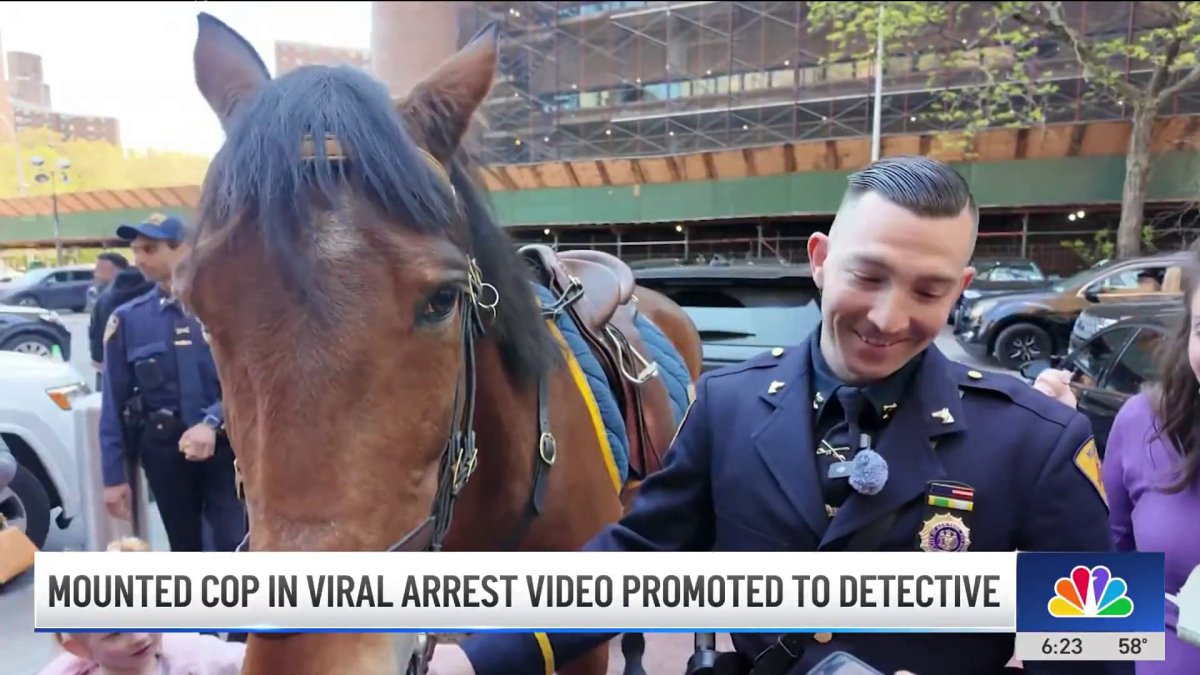 Mounted cop in viral arrest video promoted to detective – NBC New York