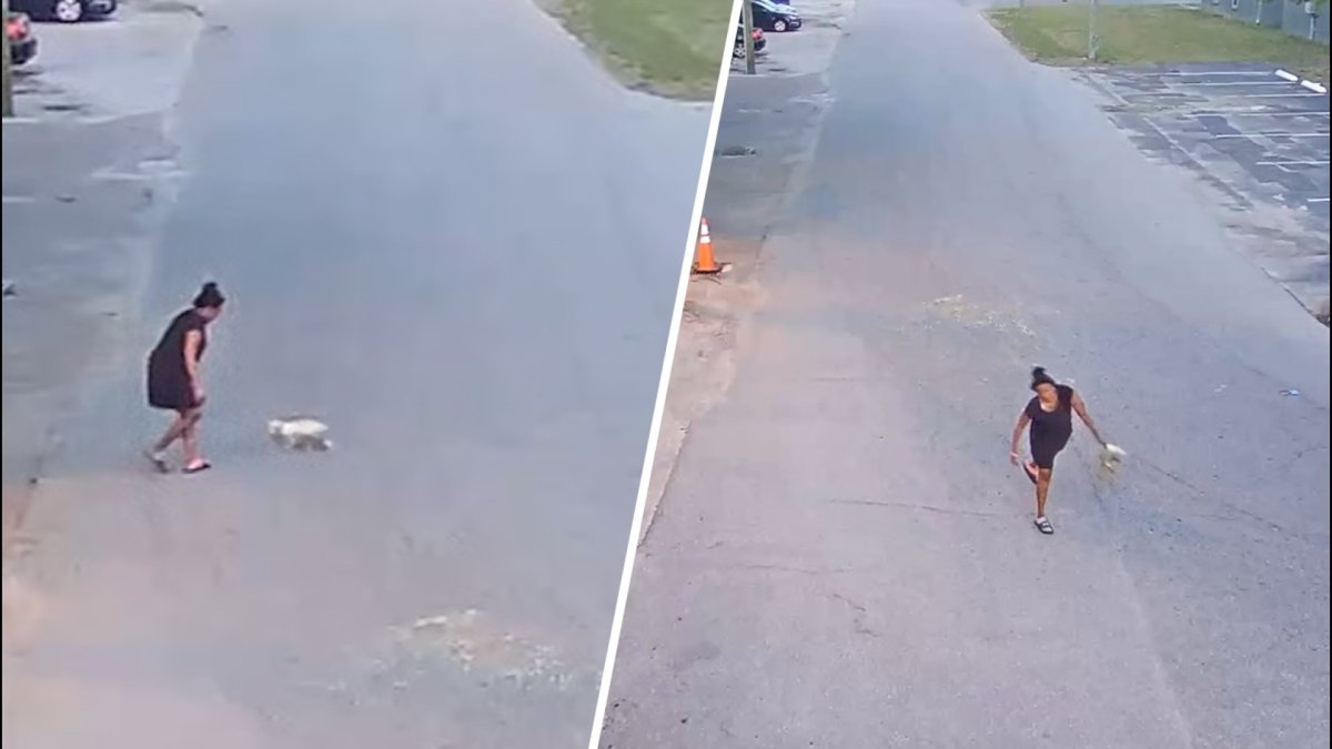 Disturbing video of Florida woman throwing and kicking a dog – NBC New York