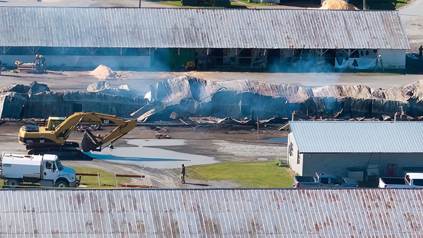 Barn fire kills 17 horses in upstate N.Y., cause under investigation ...