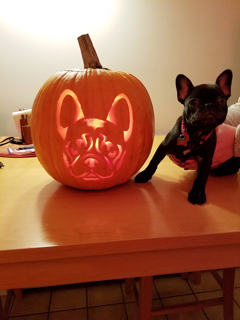 French Bulldog Pumpkin Stencil