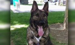 US and World News | NBC New York