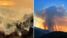 US and World News | NBC New York