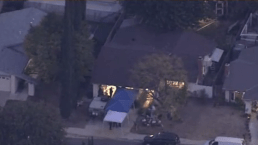 US and World News | NBC New York