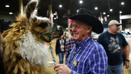 US and World News | NBC New York