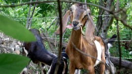 US and World News | NBC New York