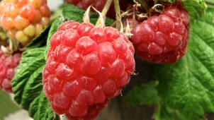 New York News, Local News, Weather, Traffic, Entertainment, Breaking News