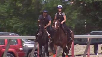 Local News | NBC New York