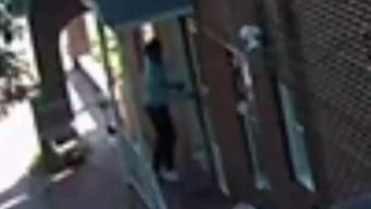 Local News | NBC New York