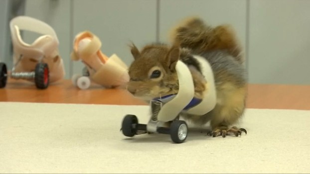 US and World News | NBC New York