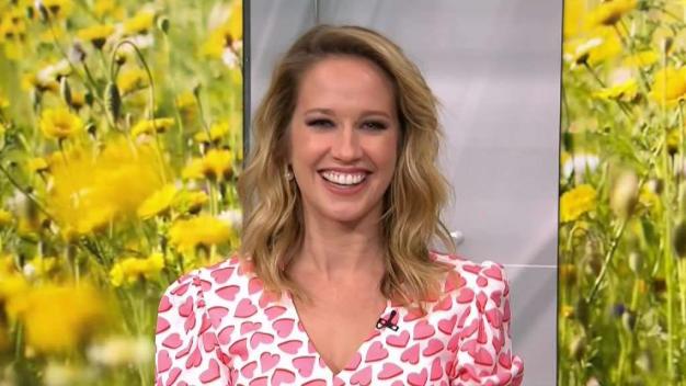 As Seen On | NBC New York