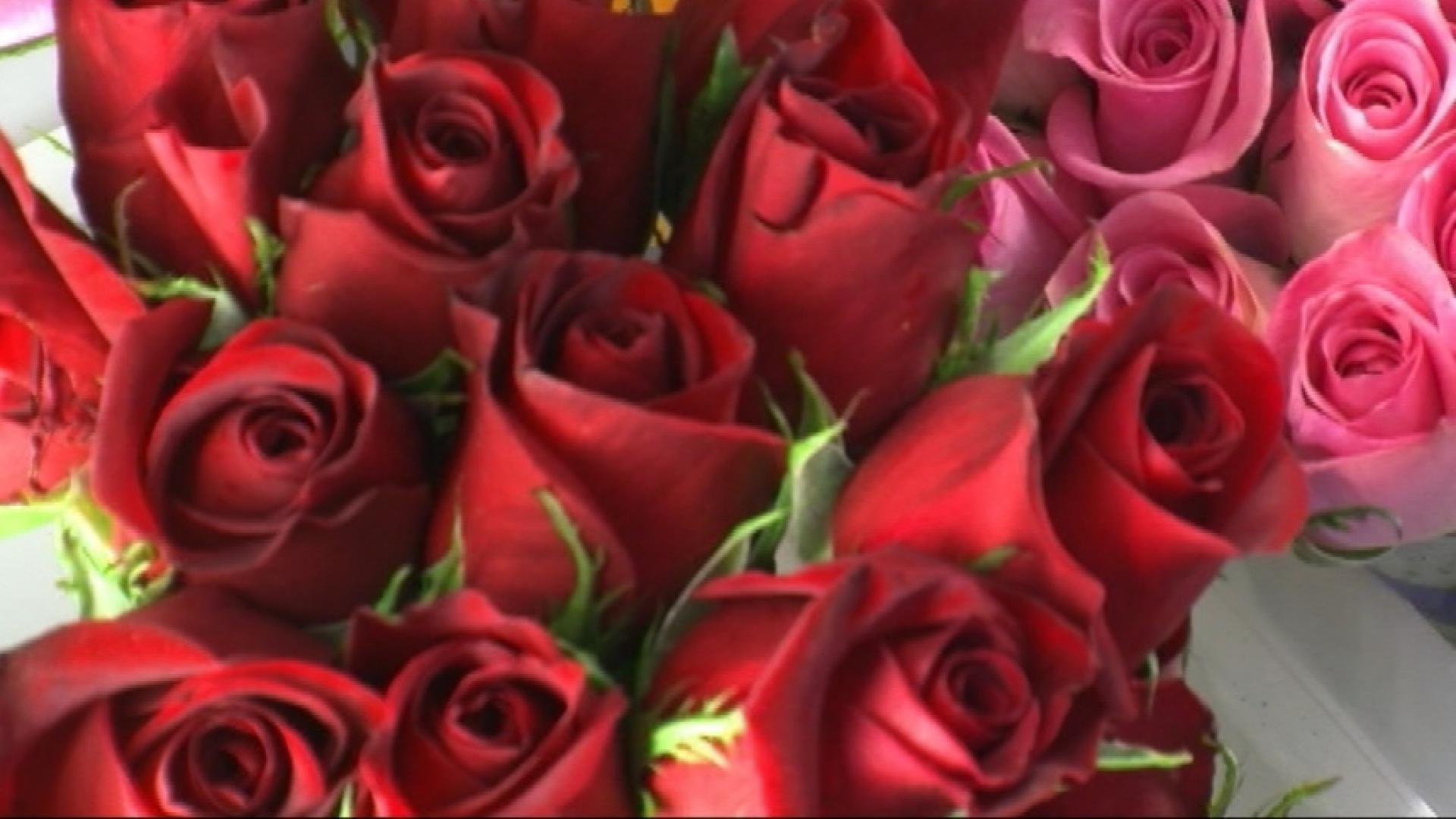 NBC New York on Flipboard | NBC, Tipping, Jersey Shore